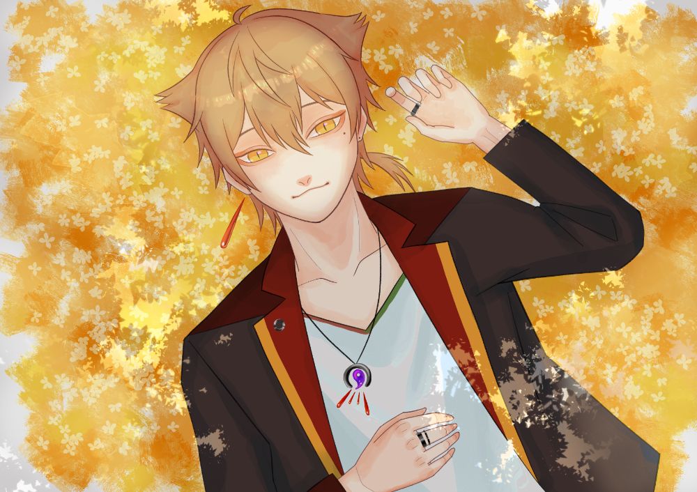 ray lit.link(リットリンク)