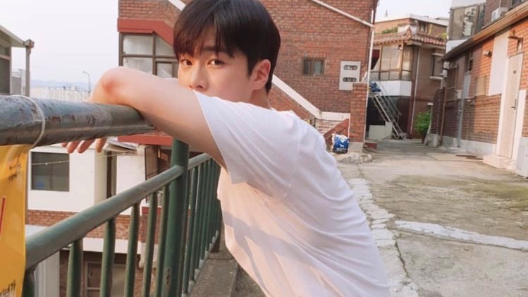 mr. lit.link(リットリンク)