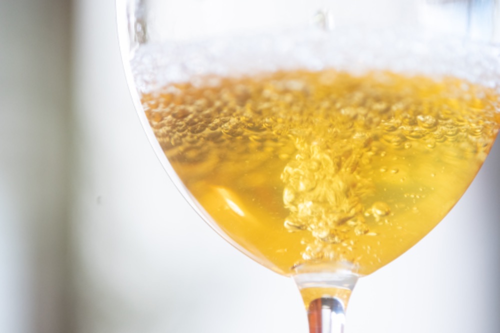 Plus Kombucha by Traghetto lit.link(リットリンク)