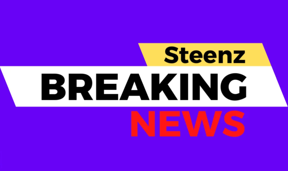 Steenz lit.link(リットリンク)