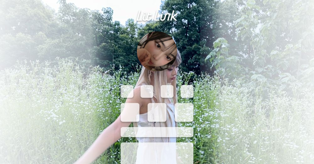 N lit.link(リットリンク)