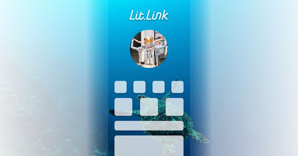 laule'a project lit.link(リットリンク)