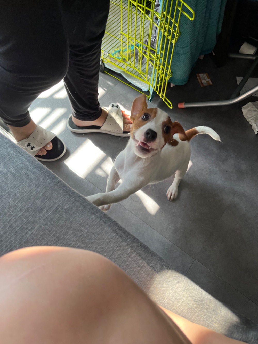 女皇 lit.link(リットリンク)