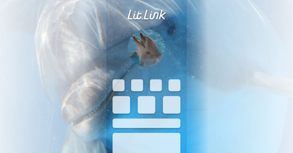 Azusa ⃛ೄ lit.link(リットリンク)