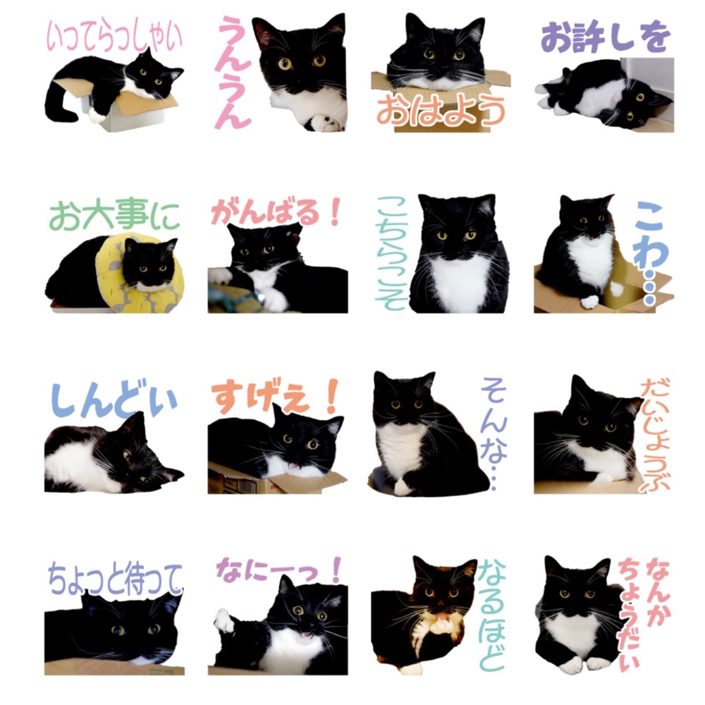 unico_uniuni lit.link(リットリンク)