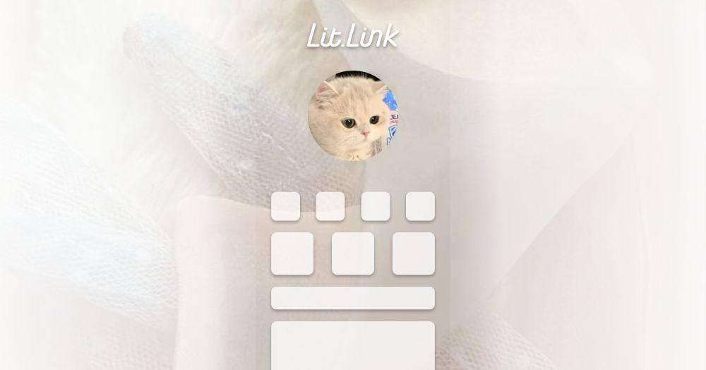 ෆ 𝘤𝘩𝘪𝘦 ෆ lit.link(リットリンク)