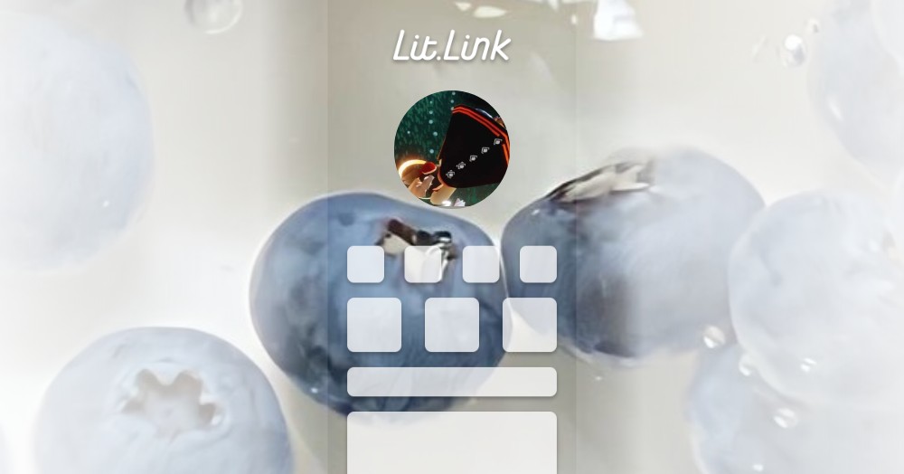 Zz lit.link(リットリンク)