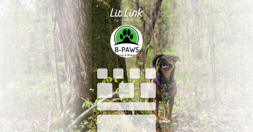 B-Paws lit.link(リットリンク)