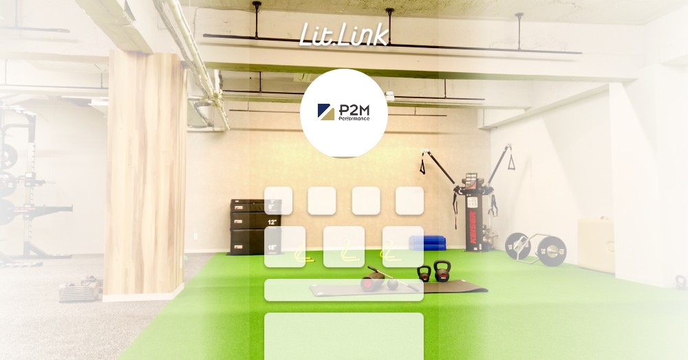 P2M Performance lit.link(リットリンク)