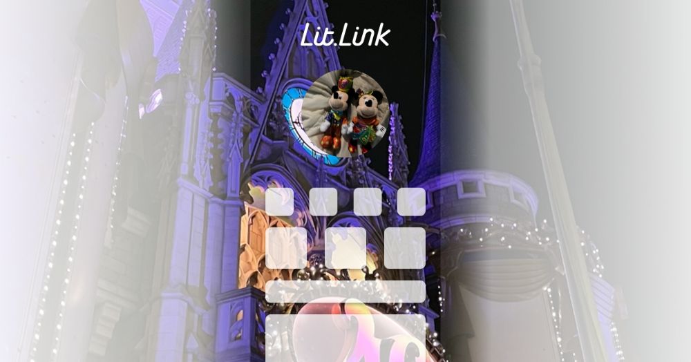 mii_.se lit.link(リットリンク)