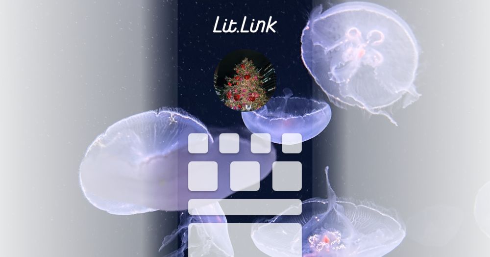 ゆあの SNS 🎀 lit.link(リットリンク)