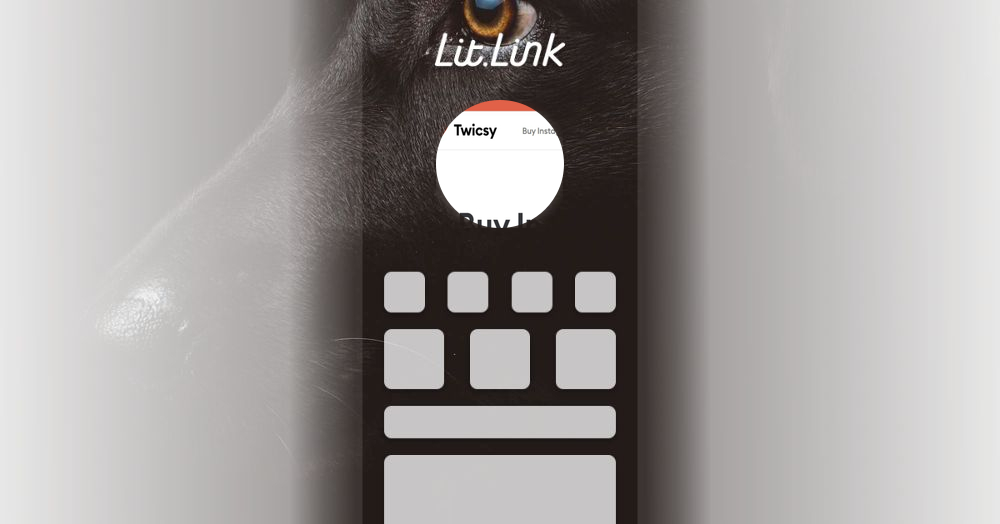 Buy Instagram Views from Twicsy lit.link(リットリンク)