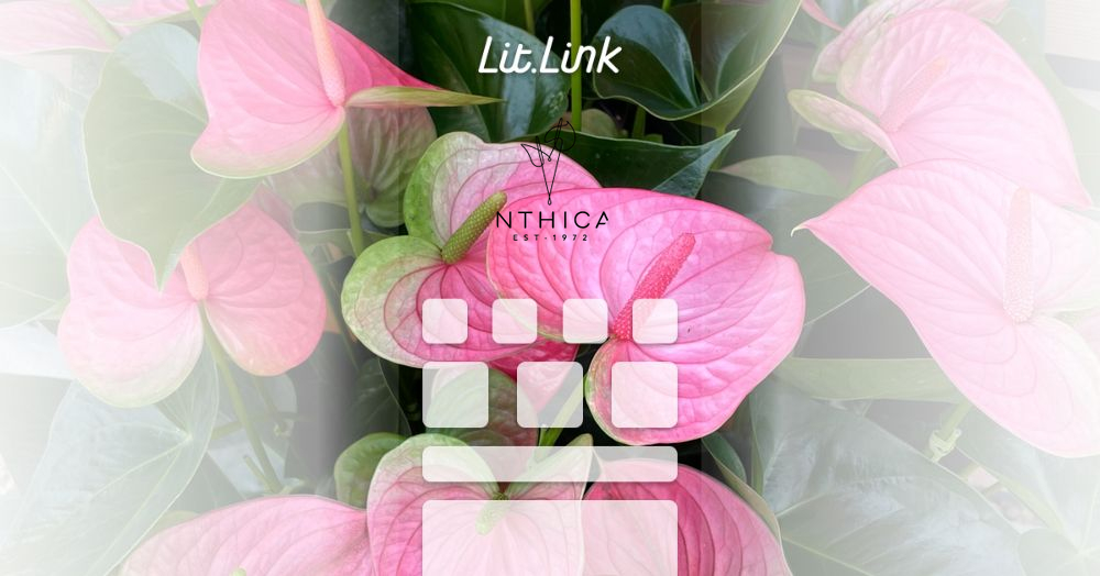 Anthical lit.link(リットリンク)