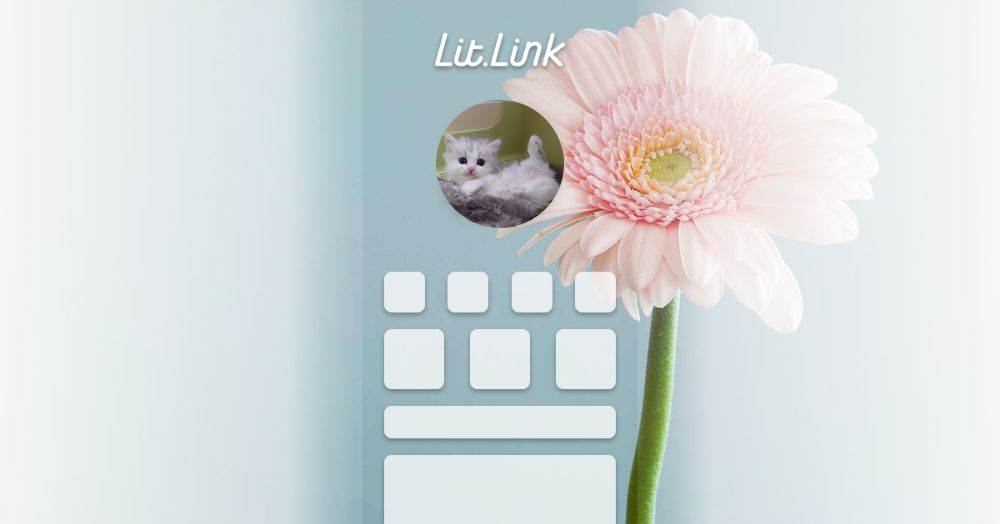 もっこねこちゃんねる lit.link(リットリンク)