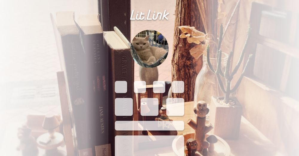 ℛ𝒜ℐ𝒩 lit.link(リットリンク)