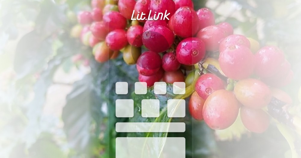 Comodo Coffee Roasters lit.link(リットリンク)