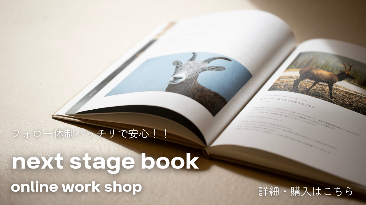 FOCUS EiTO lit.link(リットリンク)