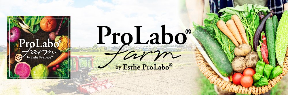 プロラボホールディングス [Esthe Pro Labo] lit.link(リットリンク)