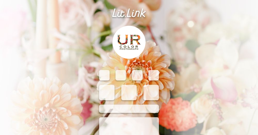 ur color photograph lit.link(リットリンク)