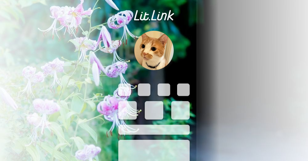 mizuki ryo lit.link(リットリンク)