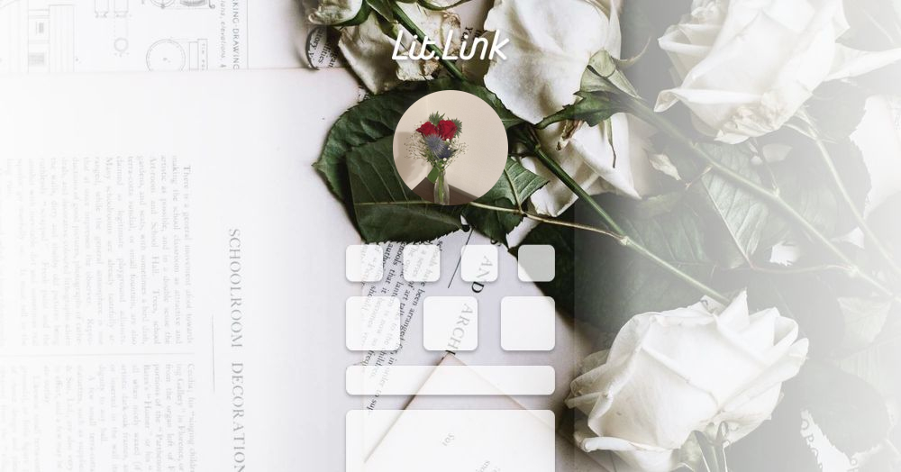 ray lit.link(リットリンク)