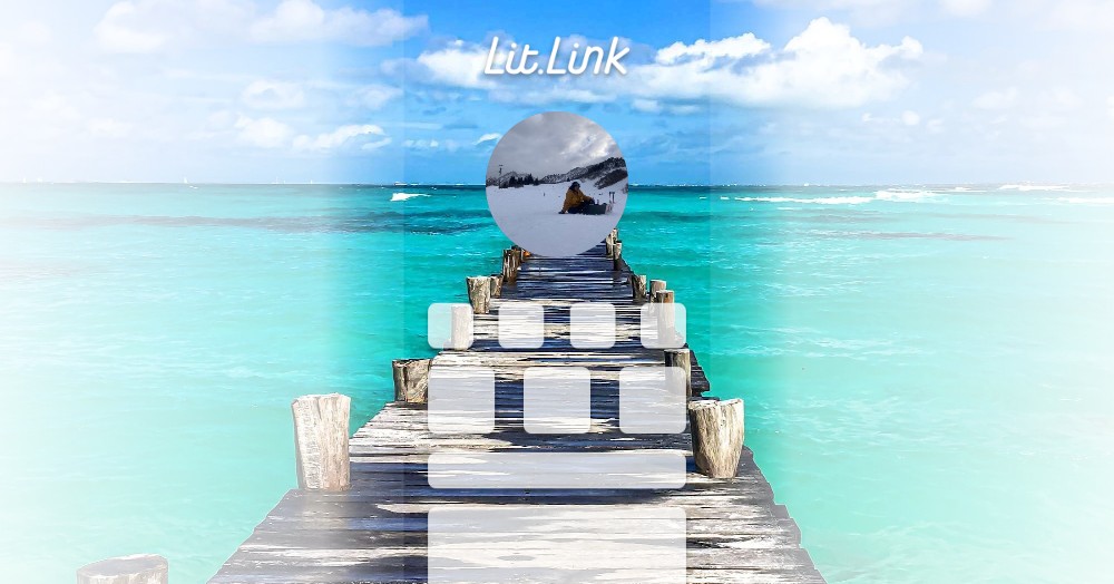 seichan lit.link(リットリンク)