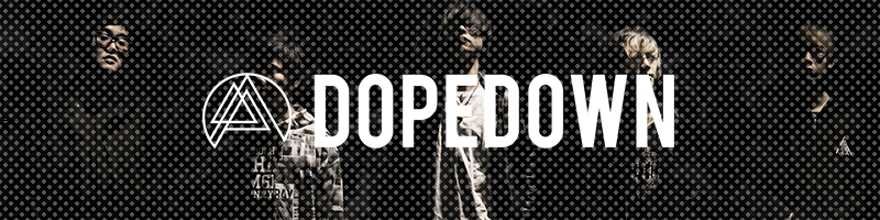 大和 lit.link(リットリンク)