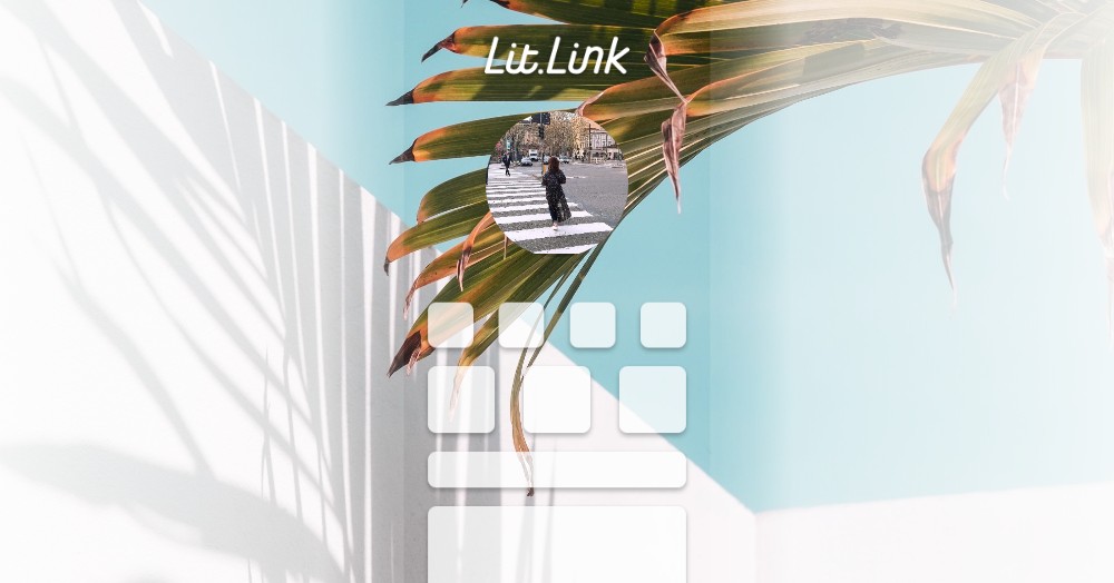 Ann lit.link(リットリンク)