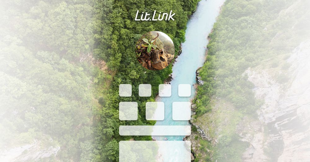 Discovery Planet lit.link(リットリンク)