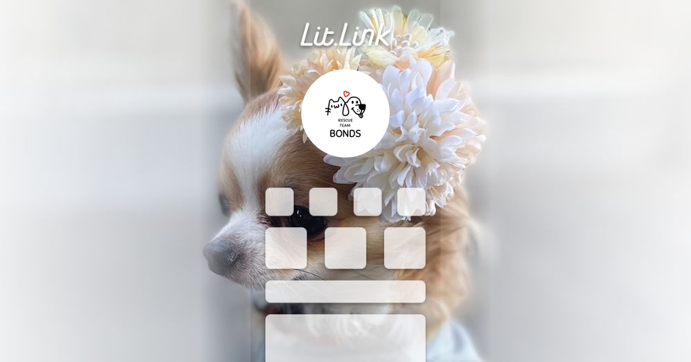 Rescue Team BONDS lit.link(リットリンク)